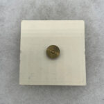 US Army 379th Infantry Regiment DUI Screwback NS Meyer on Card ...