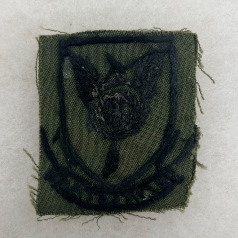 US Army 79th Ordnance Battalion Pocket Patch Vietnamese Subdued ...